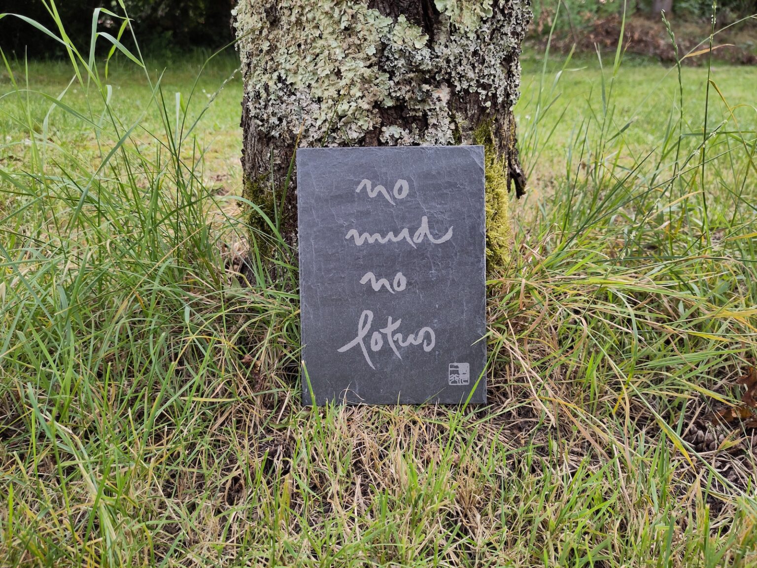 No Mud No Lotus | Thich Nhat Hanh's Calligraphy on Slate