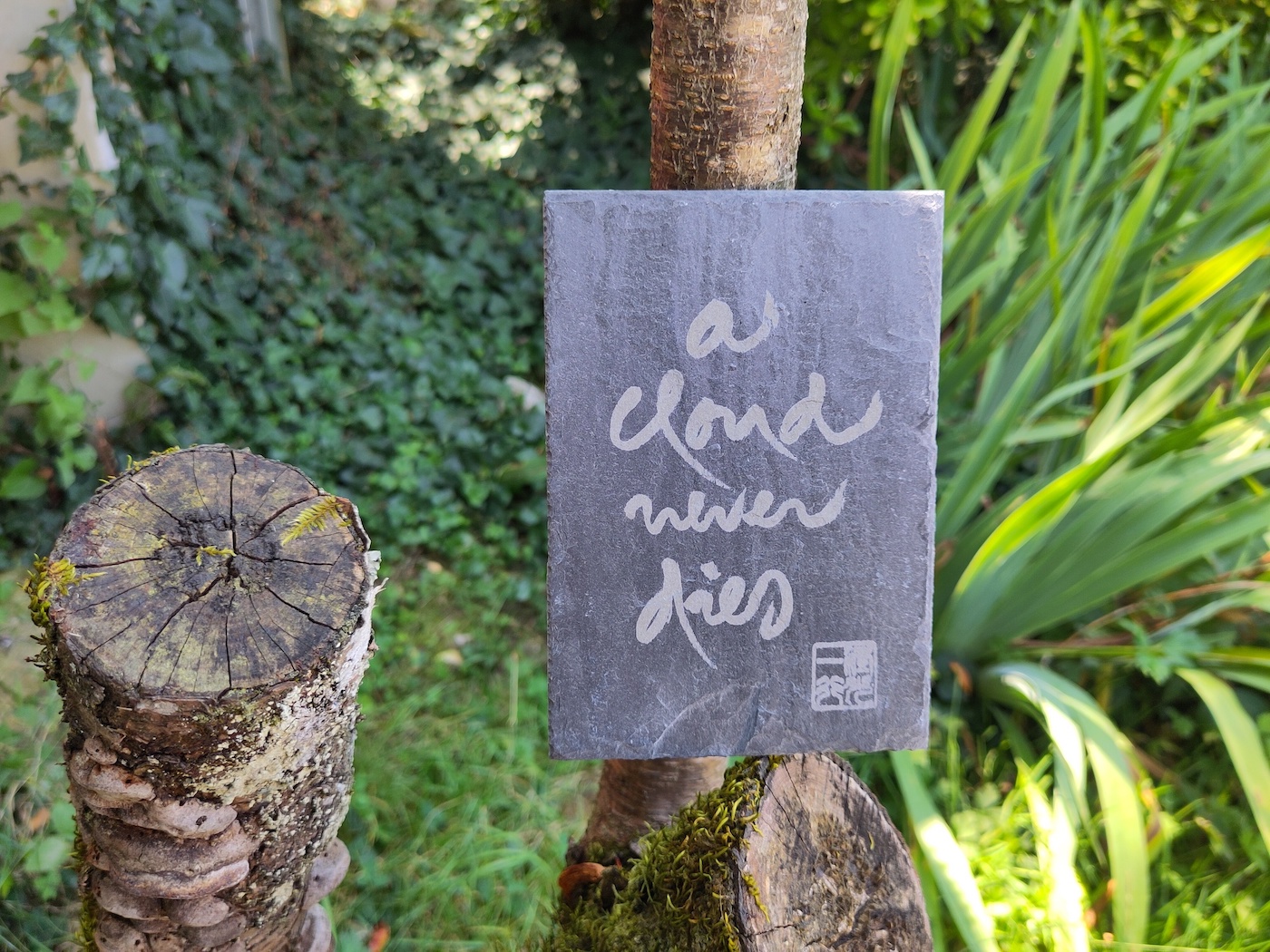 A Cloud Never Dies | Thich Nhat Hanh's Calligraphy on Slate